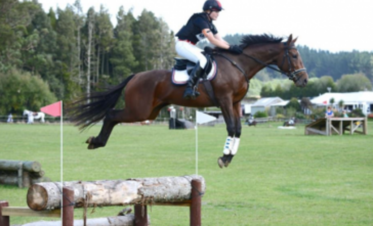 Sunday Links | Eventing Nation - Three-Day Eventing News, Results ...