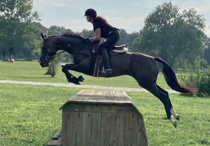 Weekly OTTB Wishlist: OTTB Buying and Selling? There’s An App For That ...