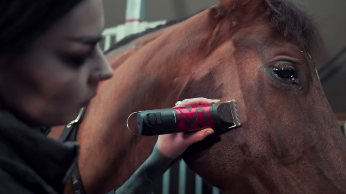 Monday Video: Clean, Crisp Clip Lines with Niki Baxter | Eventing ...