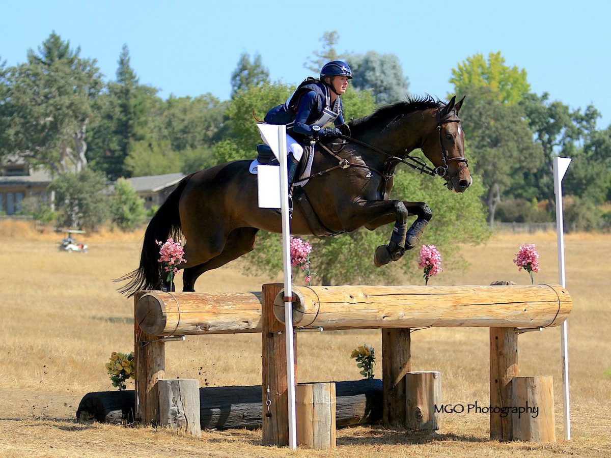 Andrea Baxter Comes Full Circle with Indy 500, Laguna Seca | Eventing ...