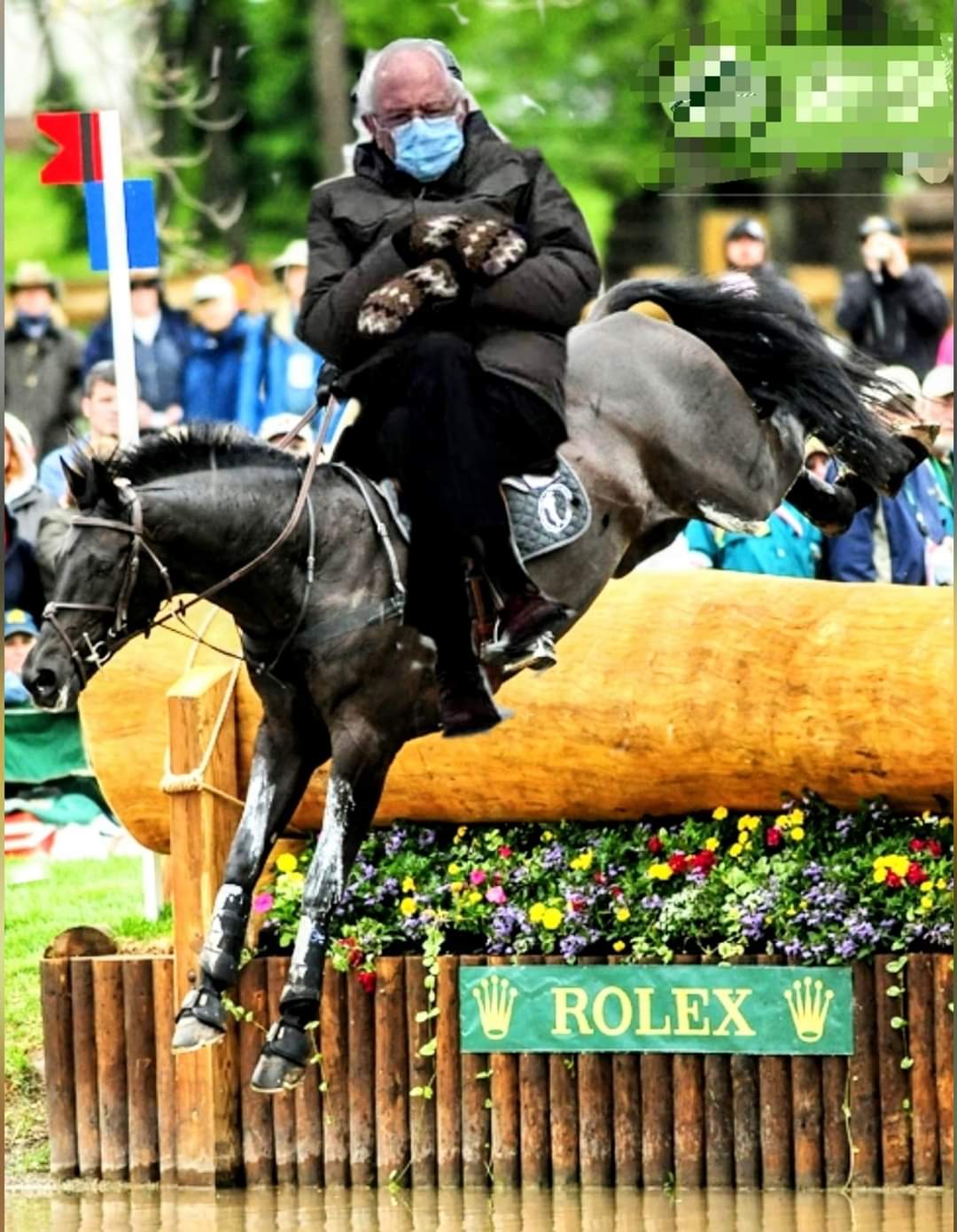 We are Once Again Asking You to Look at These Memes | Eventing Nation ...