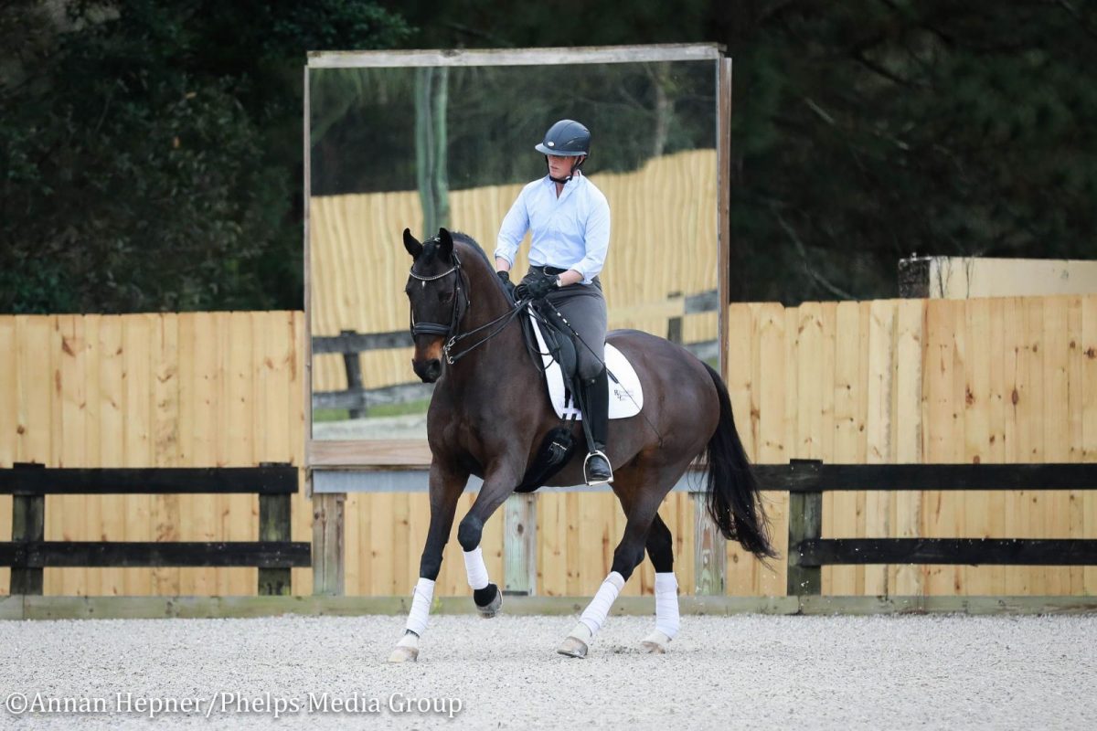 Breaking Down Beginner Novice and Novice Dressage with Allison Kavey ...