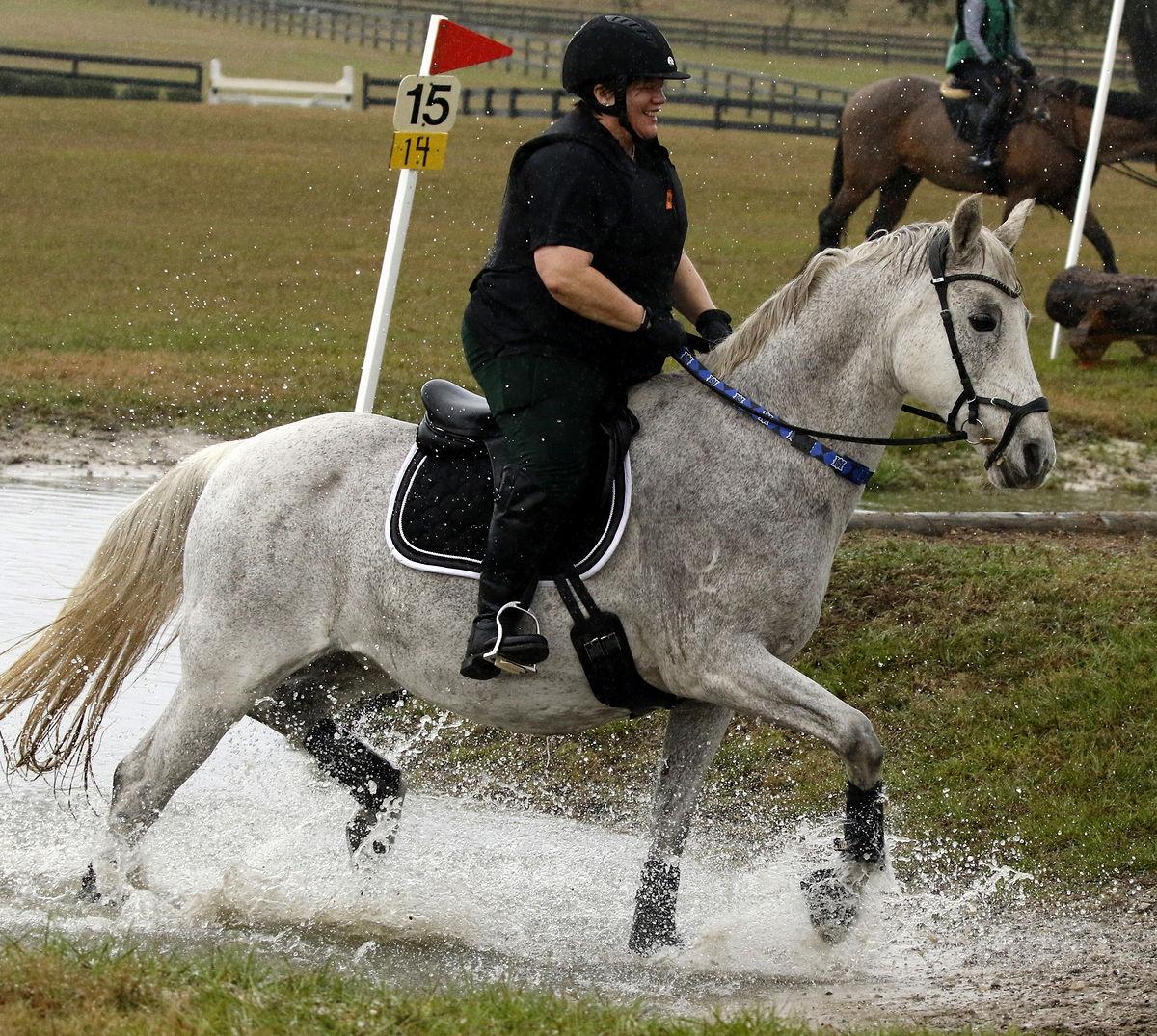 Kindness is Free: Behind the Scenes as a Red Hills Volunteer | Eventing ...