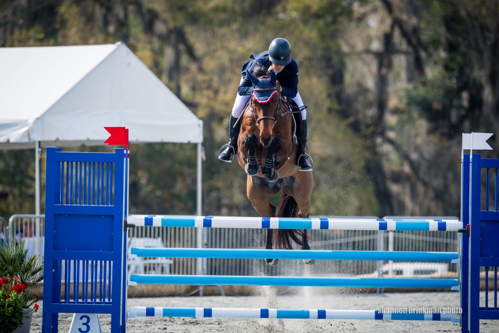 Sally Spickard | Eventing Nation - Three-Day Eventing News, Results ...