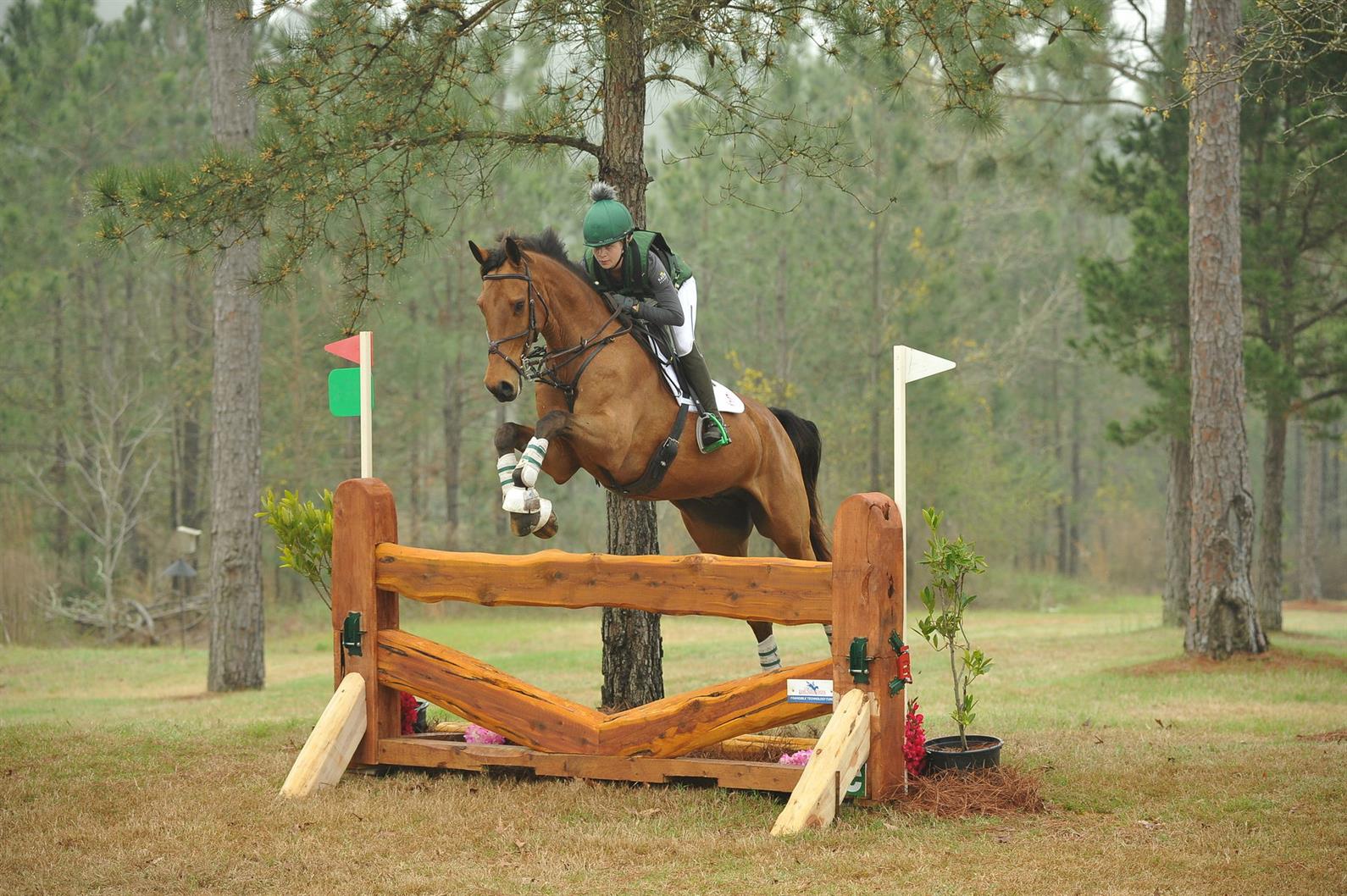 Area 2, Area 1 Victorious in Inaugural USEF Eventing Youth Team ...