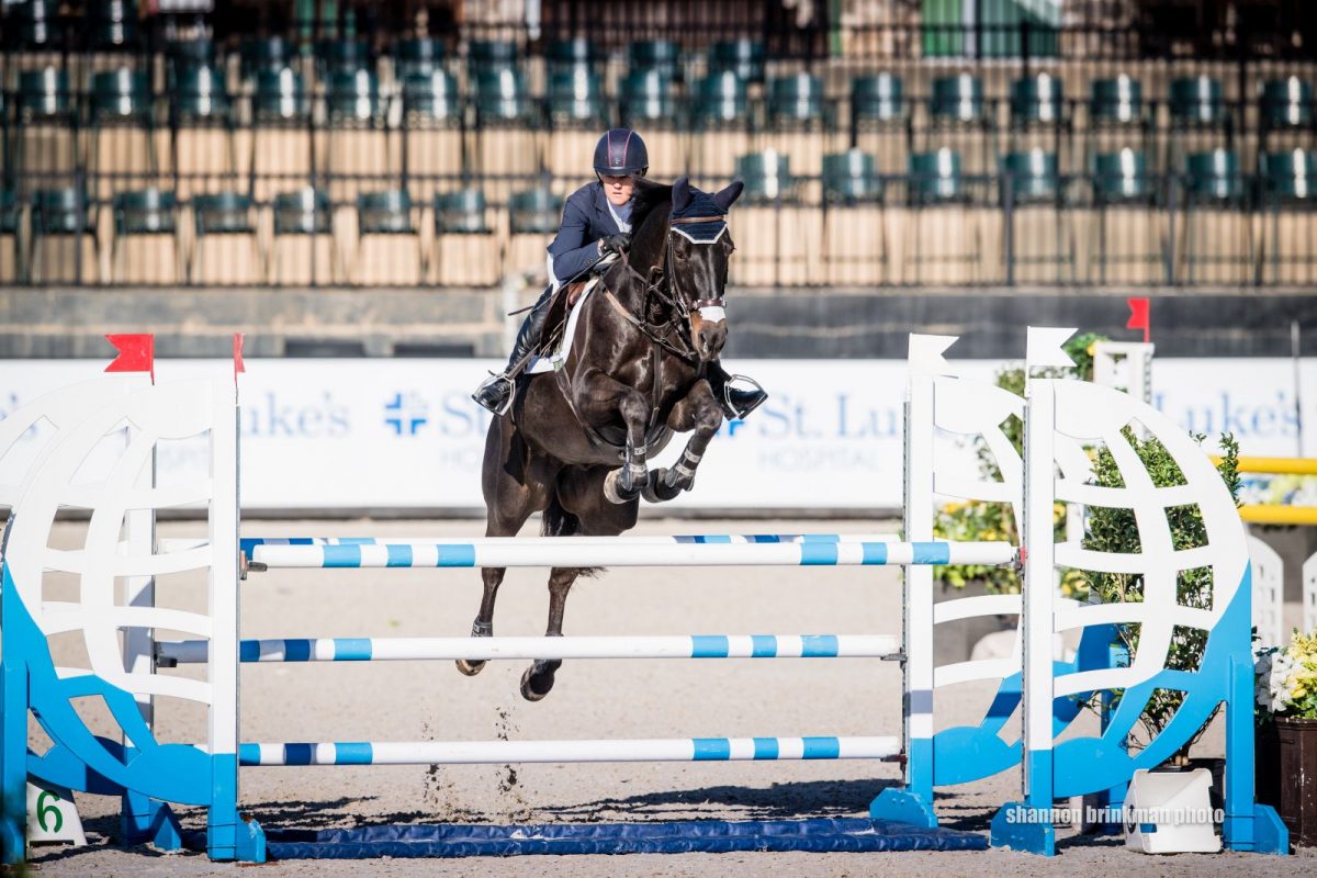 Doing Our Best for Our Horses with Allison Springer | Eventing Nation ...