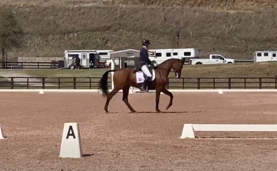 Monday Video: Doug Payne’s Winning Weekend | Eventing Nation - Three ...