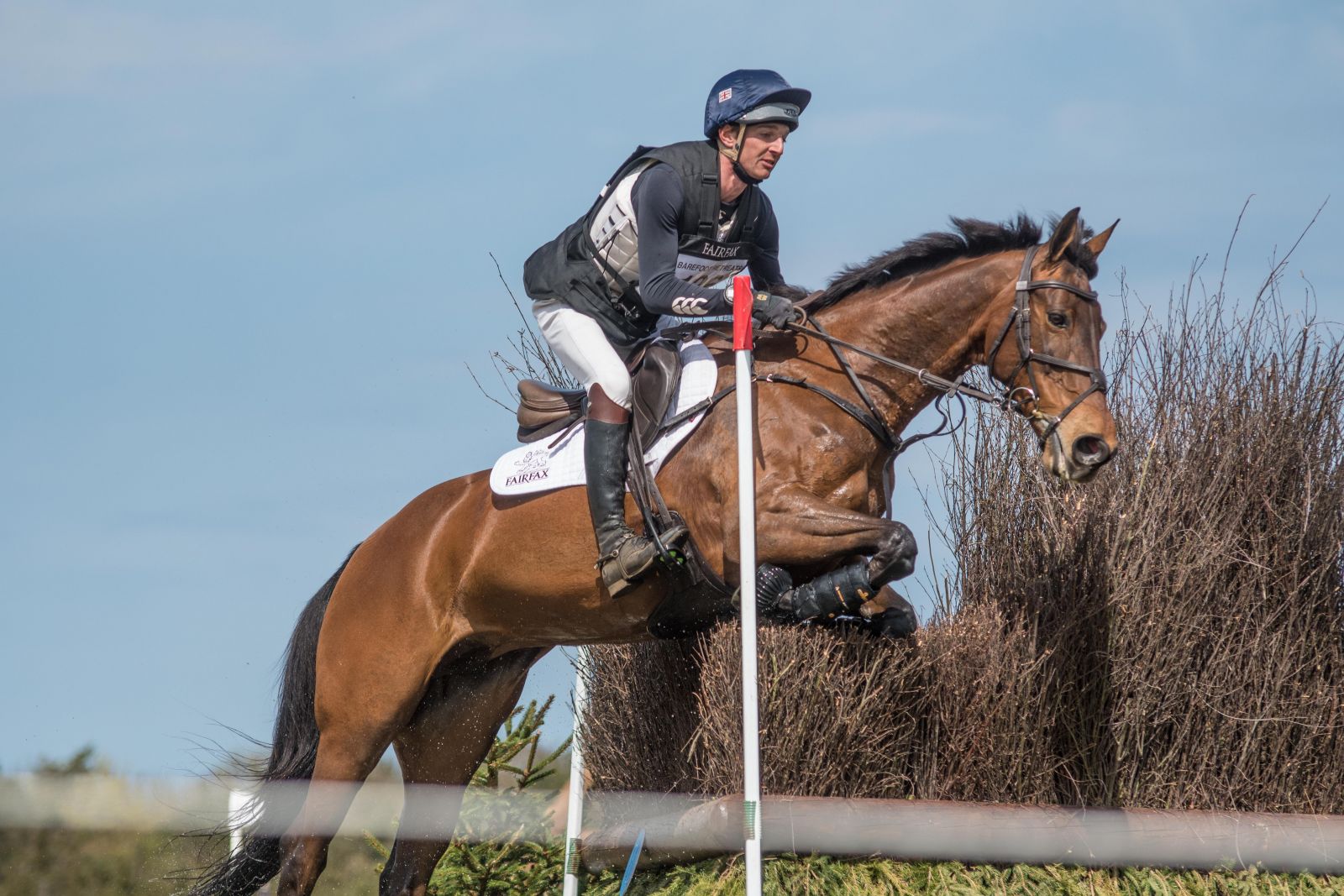 Kitty King and Piggy March Share the Spoils of Burnham Market CCI4*-S ...