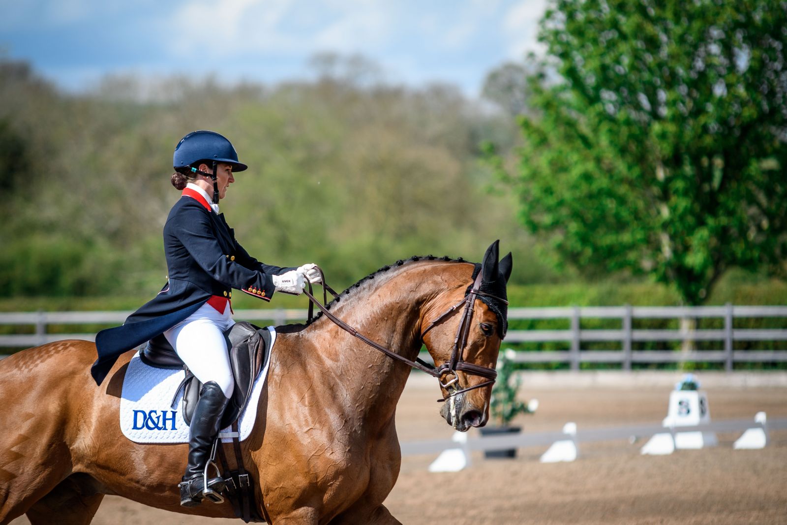 Laura Collett and Piggy March Lead the Way at Aston-le-Walls CCI4*-S ...