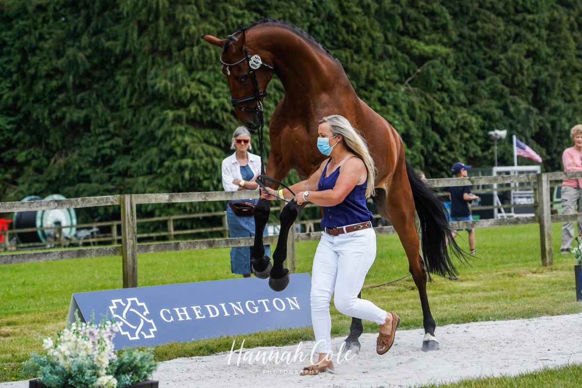 Three Horses Out; Eight Held at Bicton CCI4*-L First Horse Inspection ...