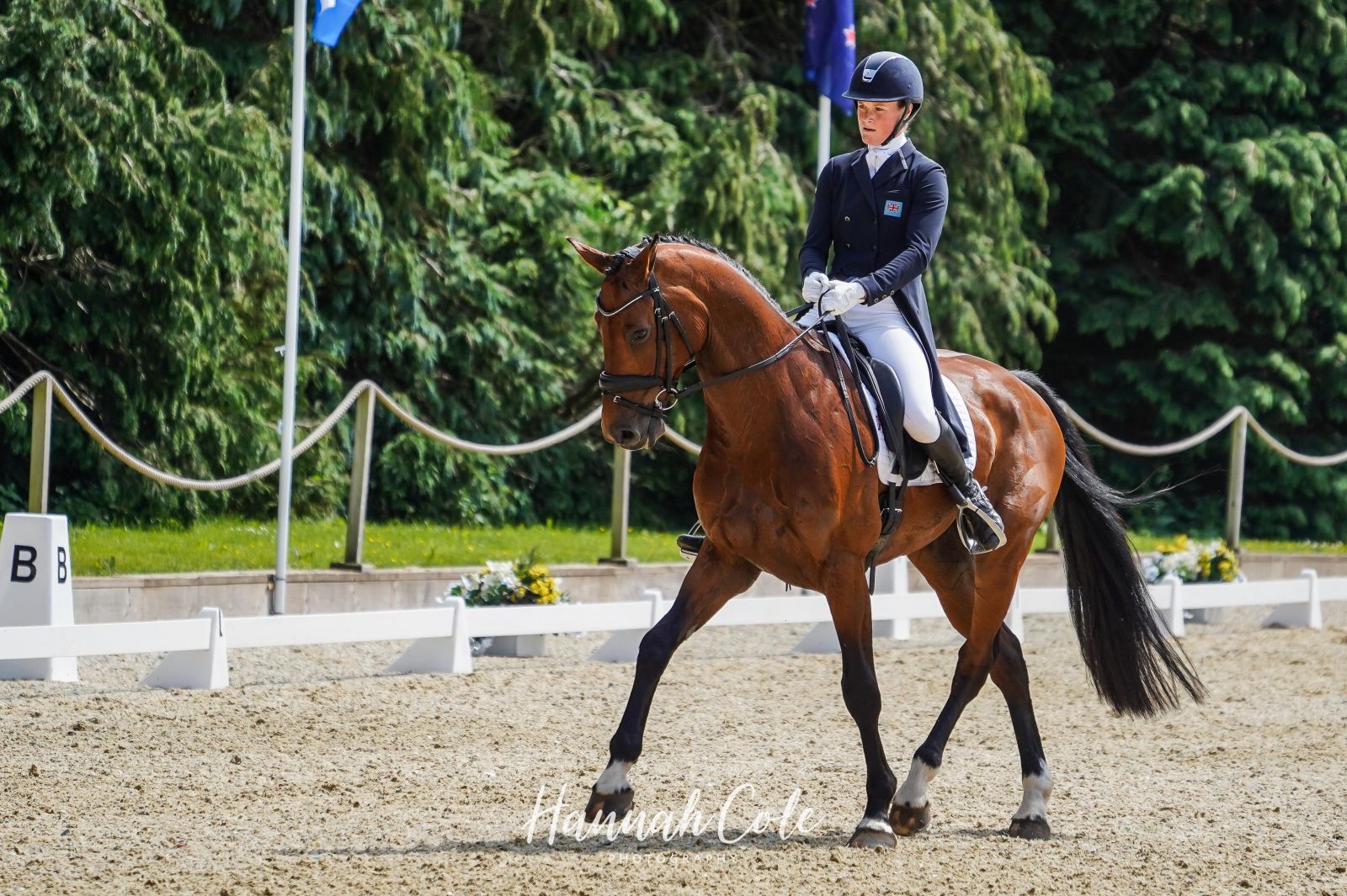 Bicton, Day Two: Nicola Wilson and Yasmin Ingham Stride into CCI4*-L ...