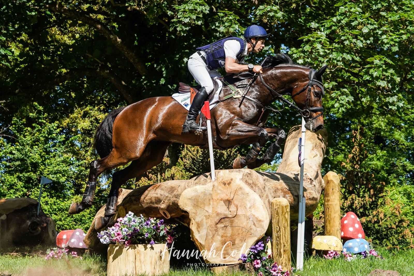 Titles Claimed by Best of Brits on Final Day of Bicton | Eventing ...