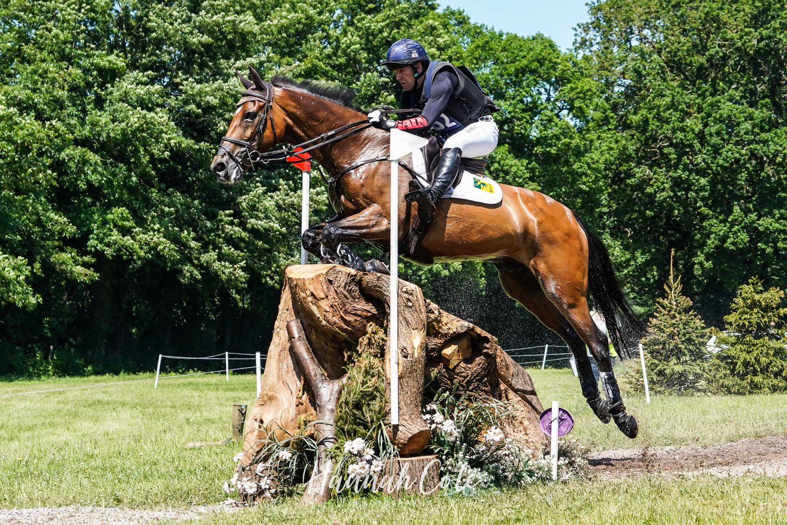 Titles Claimed by Best of Brits on Final Day of Bicton | Eventing ...