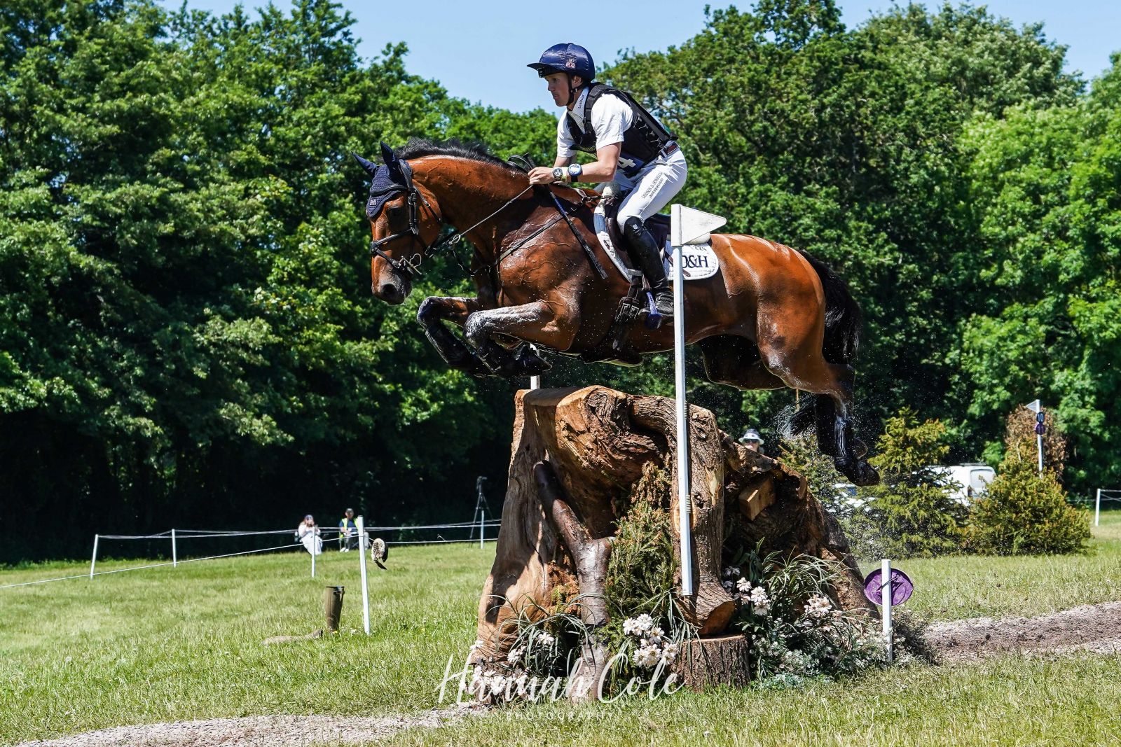 Titles Claimed by Best of Brits on Final Day of Bicton | Eventing ...