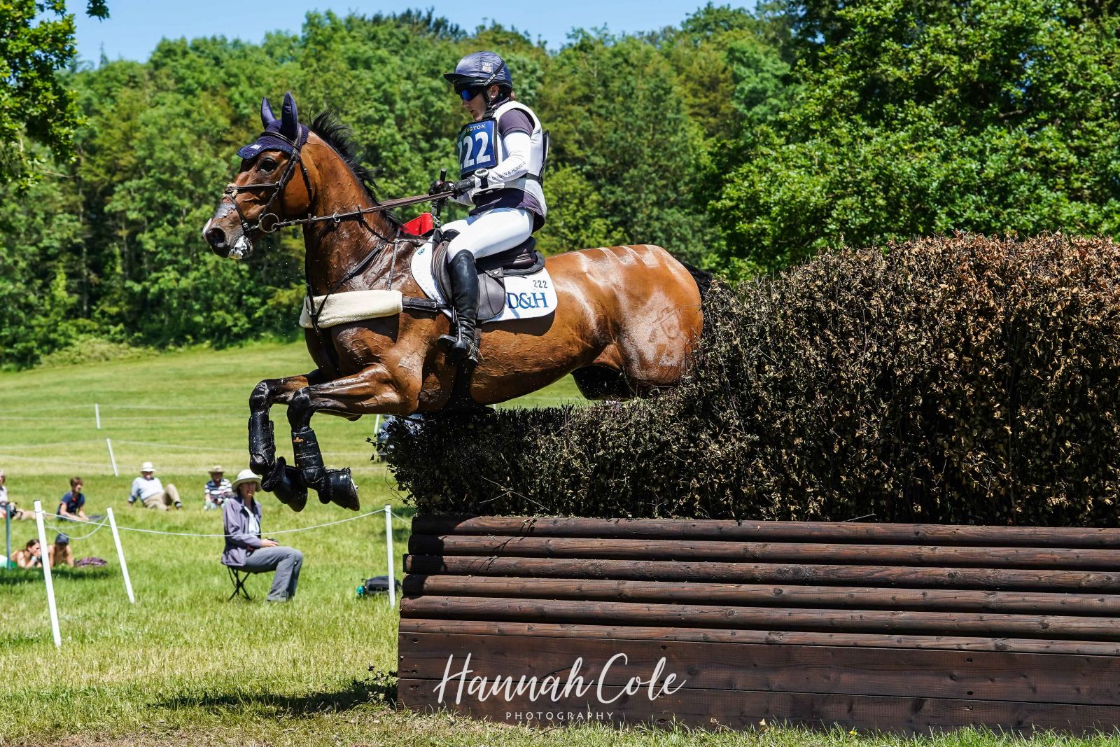 Titles Claimed by Best of Brits on Final Day of Bicton | Eventing ...
