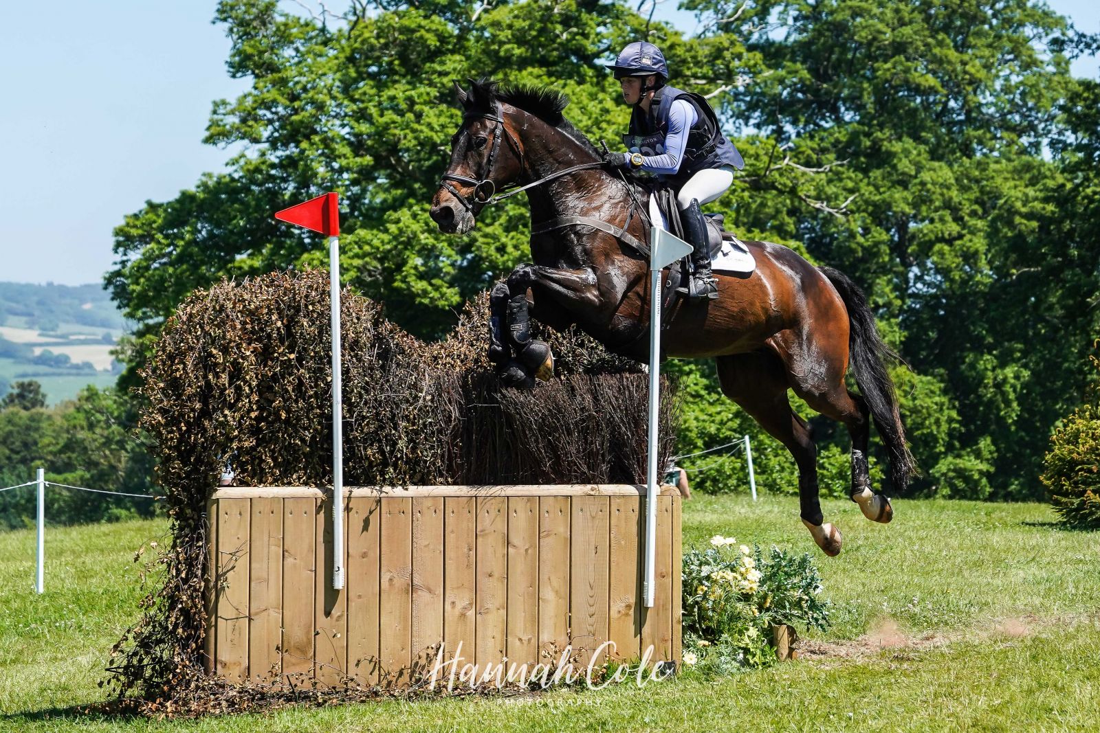 Titles Claimed by Best of Brits on Final Day of Bicton | Eventing ...