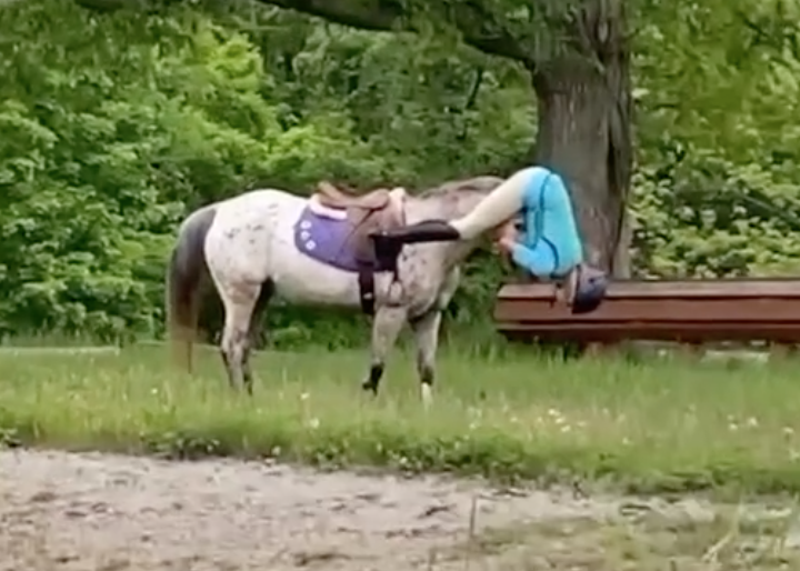 TikTok Tuesday Videos: Cross Country Failsauce | Eventing Nation ...