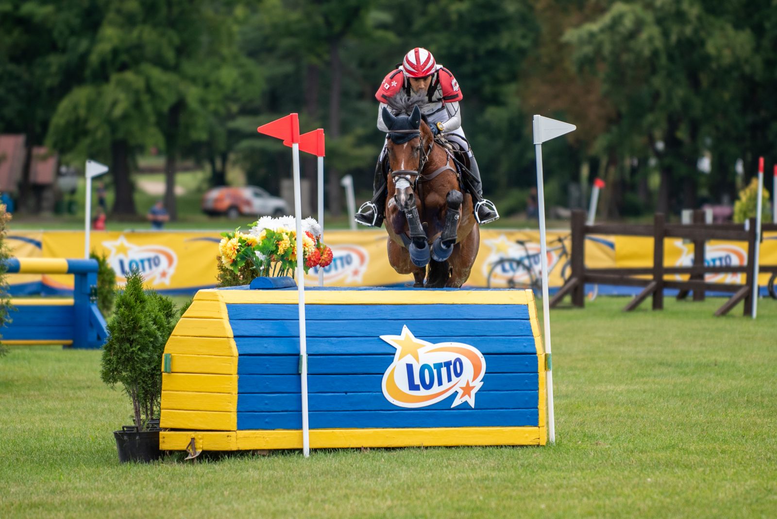 Home Team Japan Announces Tokyo Olympic Eventing Squad | Eventing ...