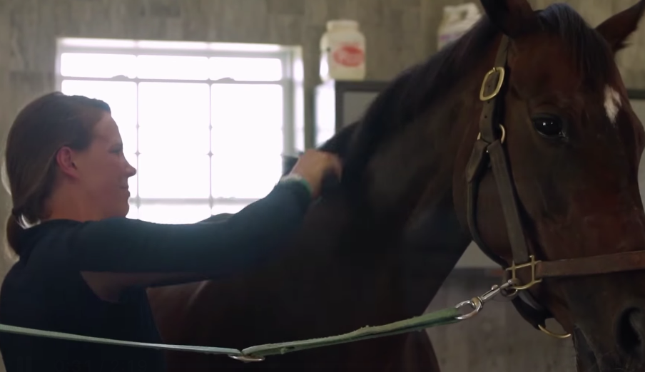 A Message From Annie: ‘You Gotta Push On’ | Eventing Nation - Three-Day ...