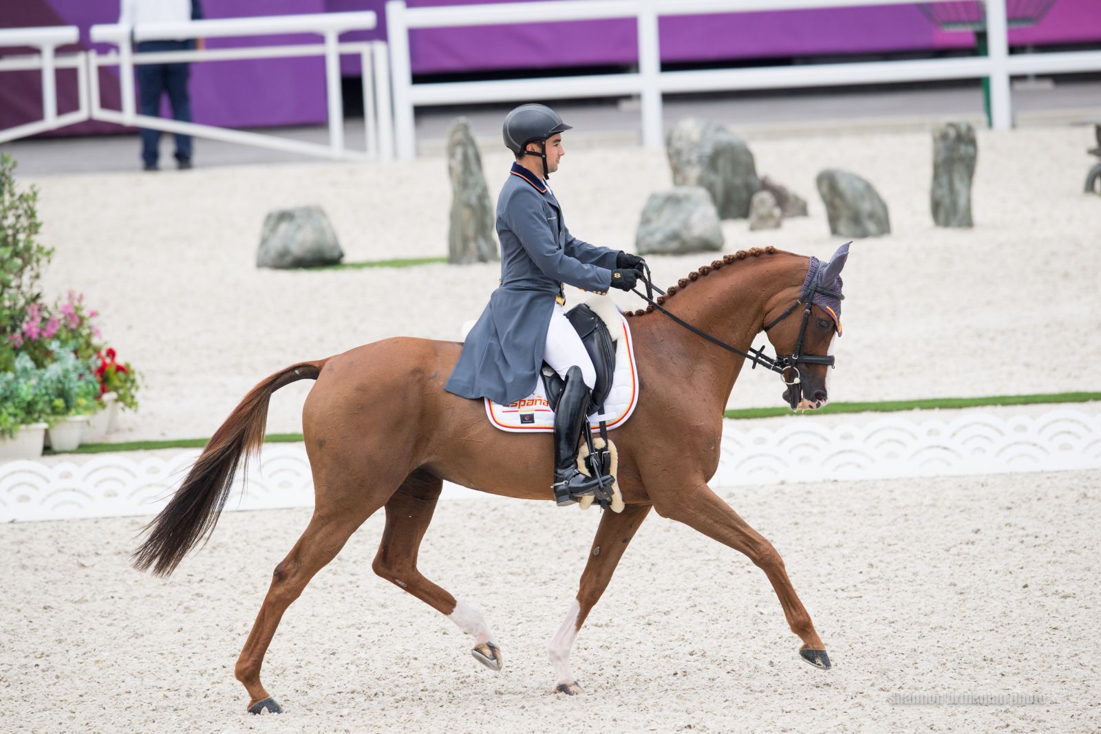Breaking Down the Olympic Dressage Test | Eventing Nation - Three-Day ...