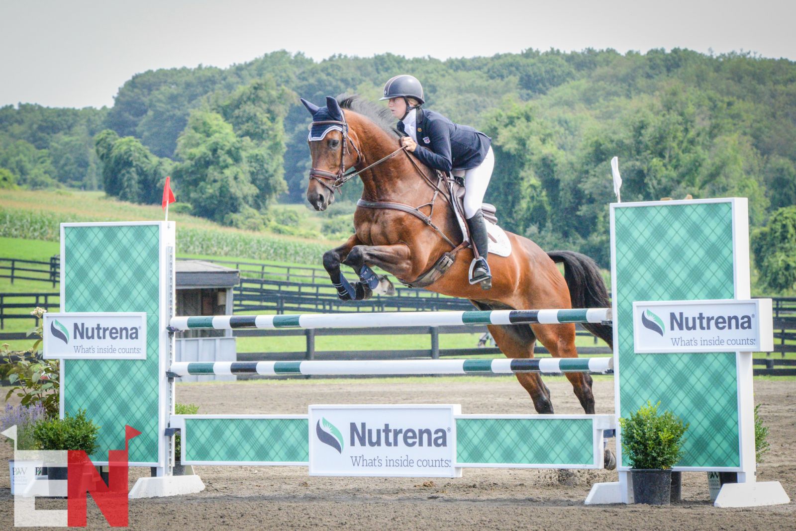 Who Jumped It Best? Millbrook Intermediate Show Jumping Edition ...