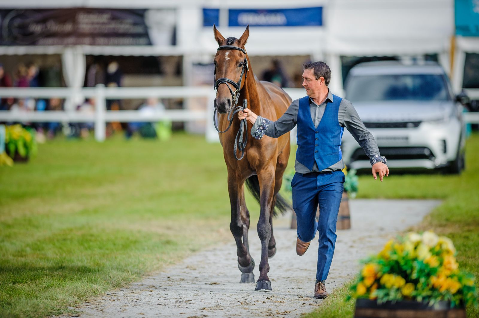 Blair CCI4*-L Field Thinned by Two at Final Horse Inspection | Eventing ...