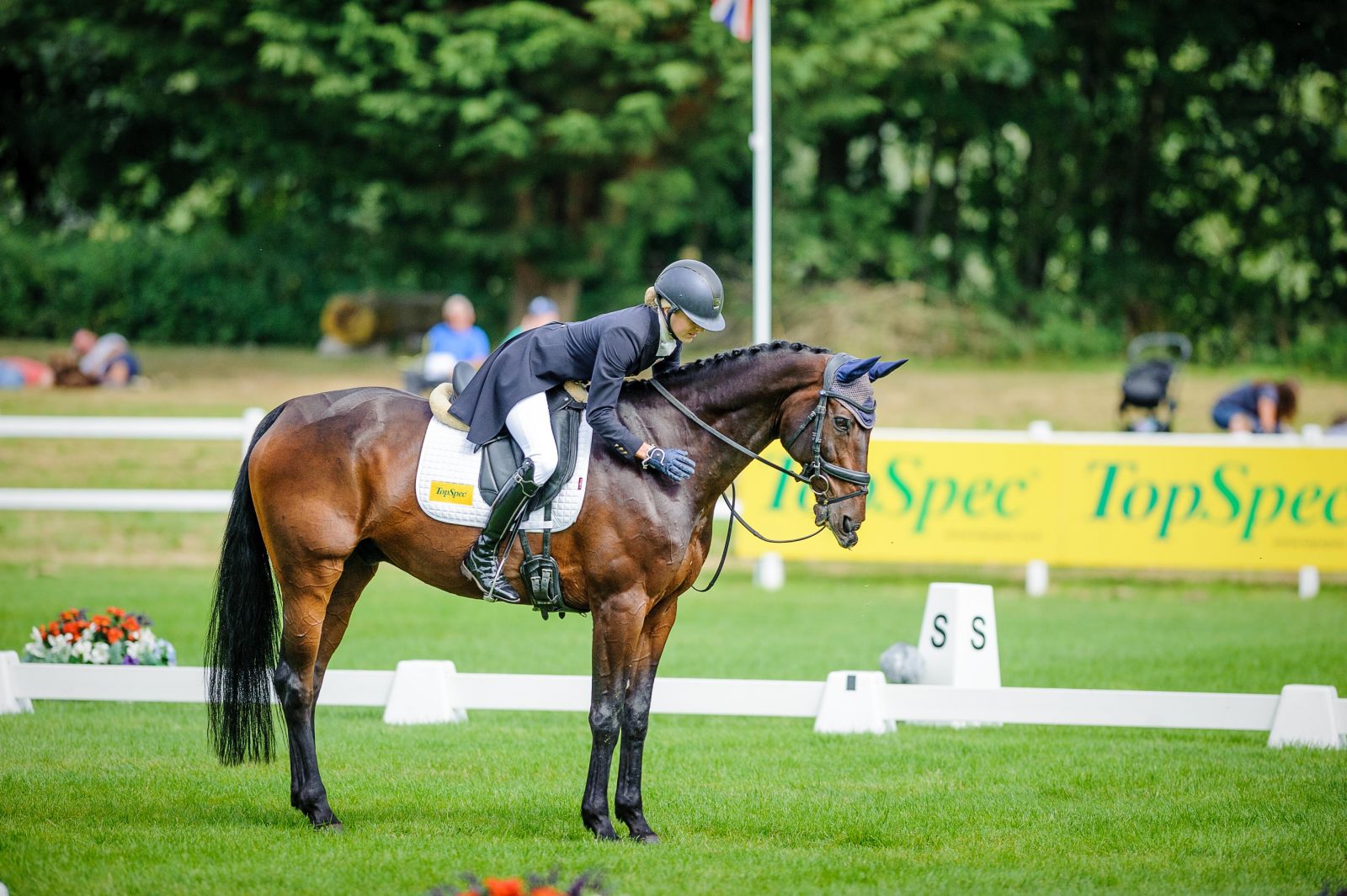 Gallery: The Ups, Downs, and Emotions of Bicton’s Five-Star Dressage ...
