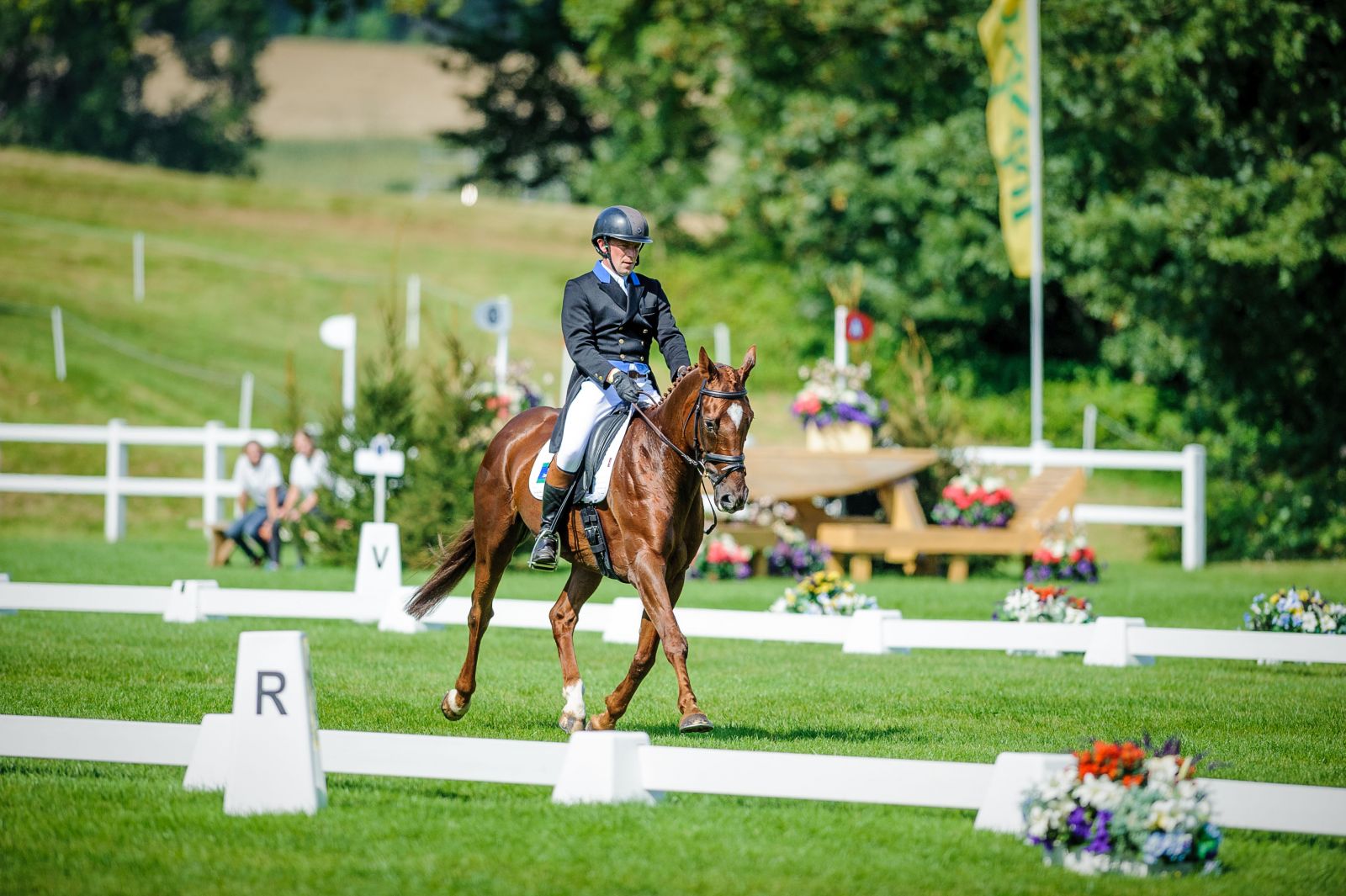 Gallery: The Ups, Downs, and Emotions of Bicton’s Five-Star Dressage ...
