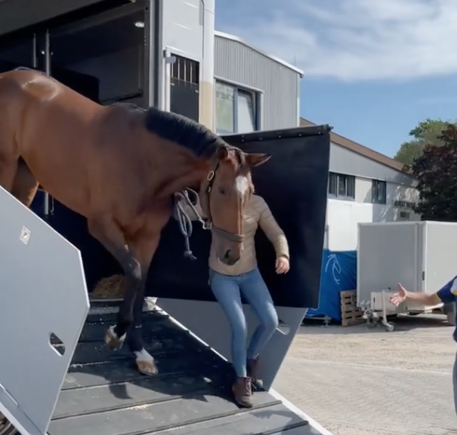 Tuesday News & Notes from Legends Horse Feed | Eventing Nation - Three ...