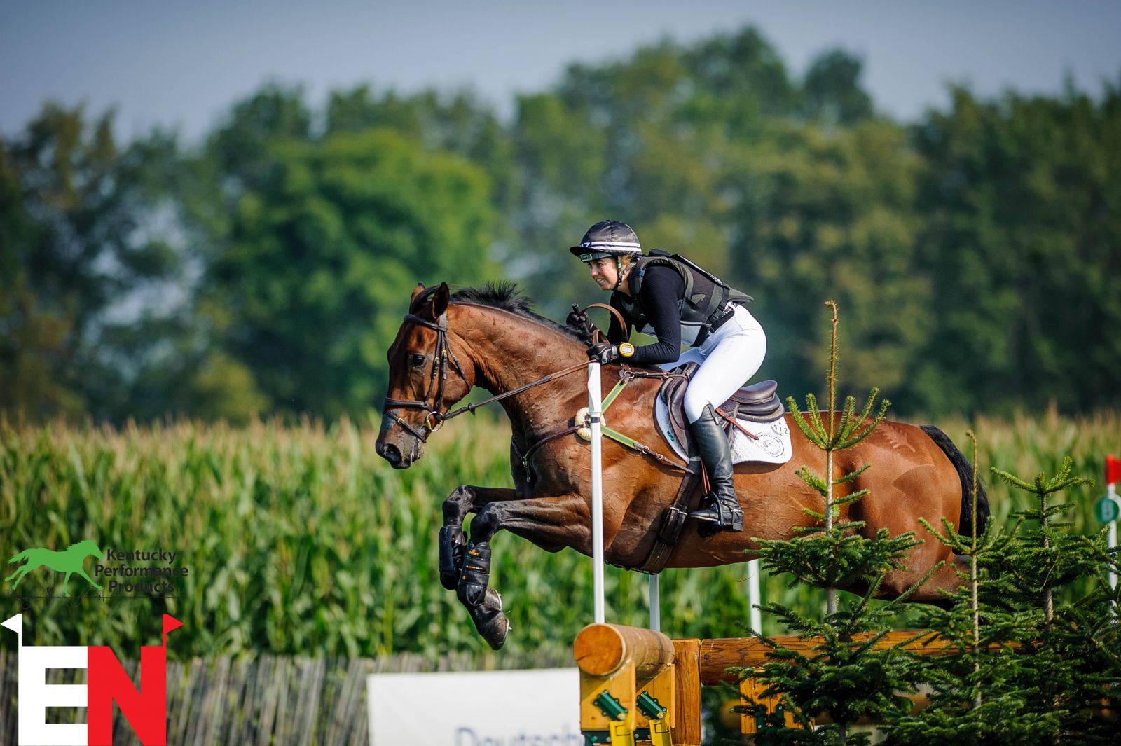 Who Jumped it Best: Aachen’s Oxer-to-Corner Question | Eventing Nation ...