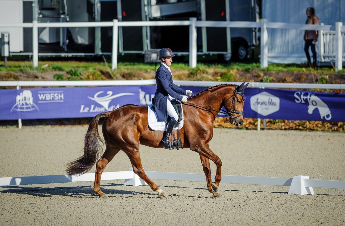 Between the Ears with Cole Horn | Eventing Nation - Three-Day Eventing ...