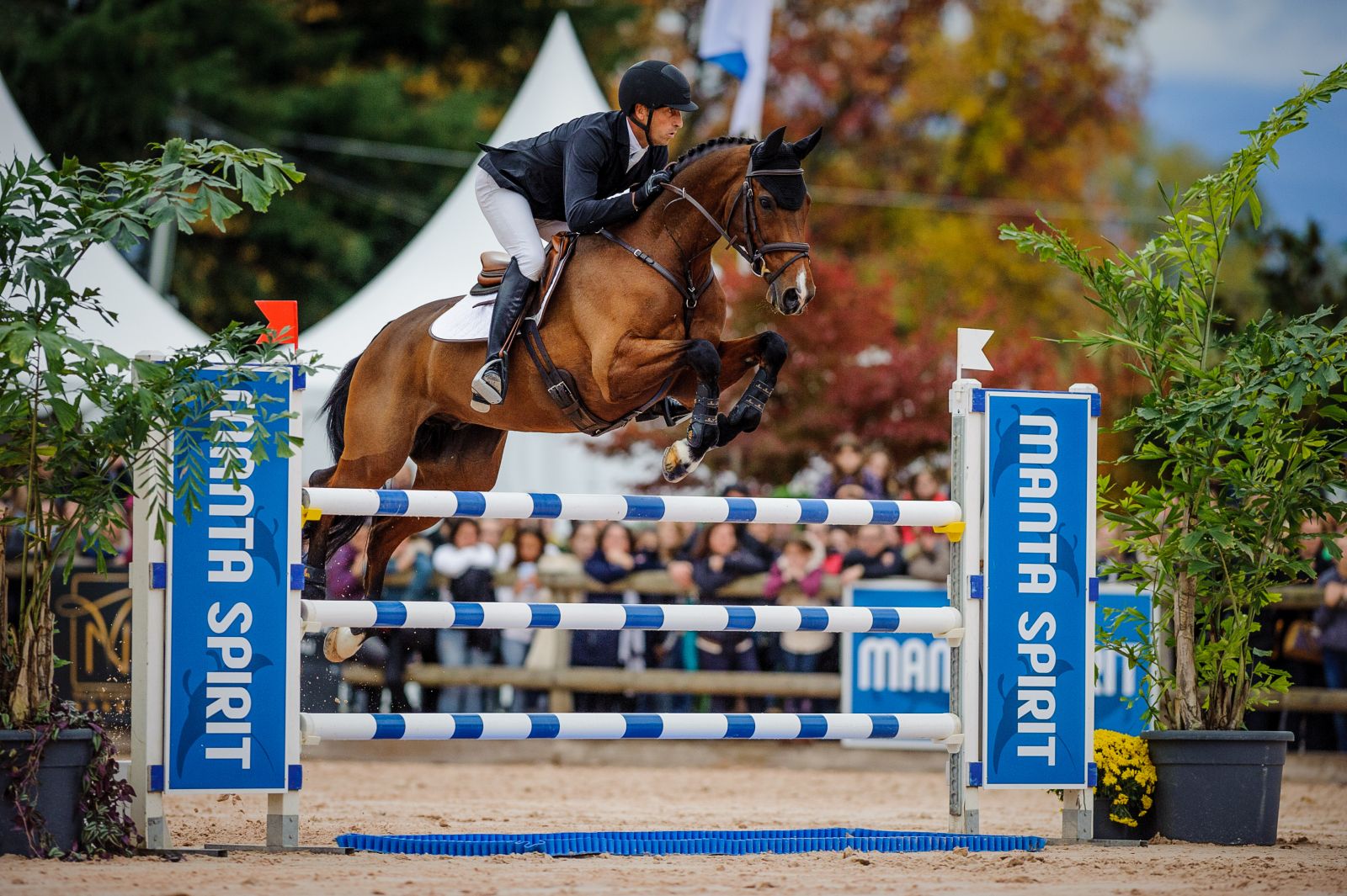 Tim Price Wins Pau CCI5*; Spirits Us All Back to Better Days in the ...