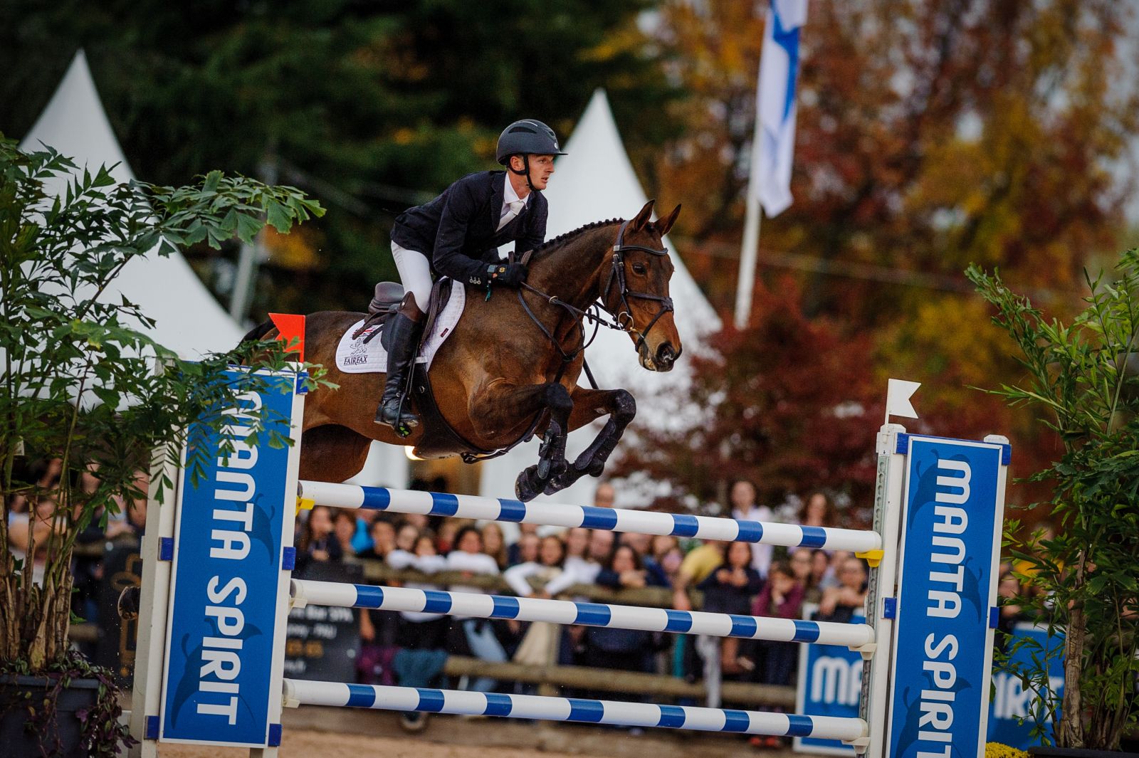 Tim Price Wins Pau CCI5*; Spirits Us All Back to Better Days in the ...