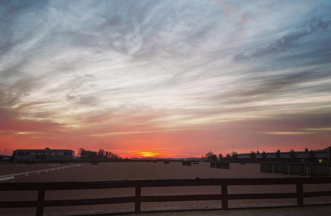 Thursday at Tryon Instagram Roundup: The Sun Also Rises | Eventing ...
