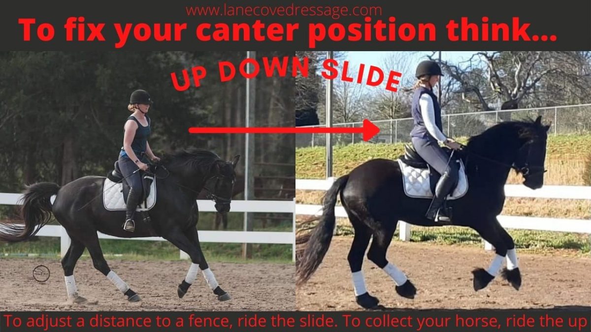Want to Canter Like a Dressage Rider? Ride the UP | Eventing Nation ...