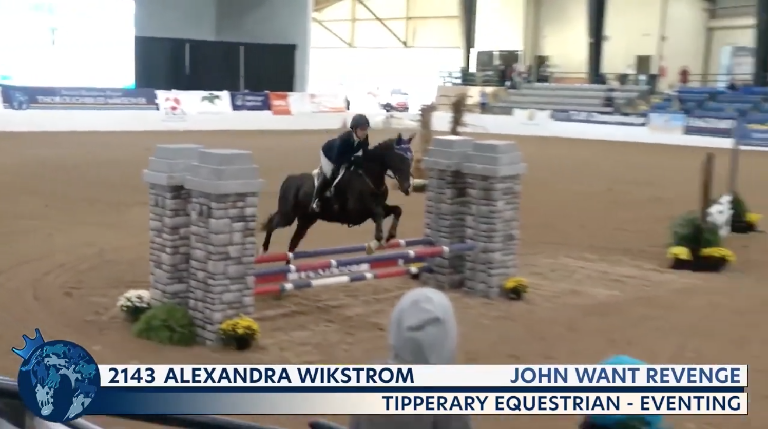 Sunday Video: Meet the Eventers of the 2021 Thoroughbred Makeover ...