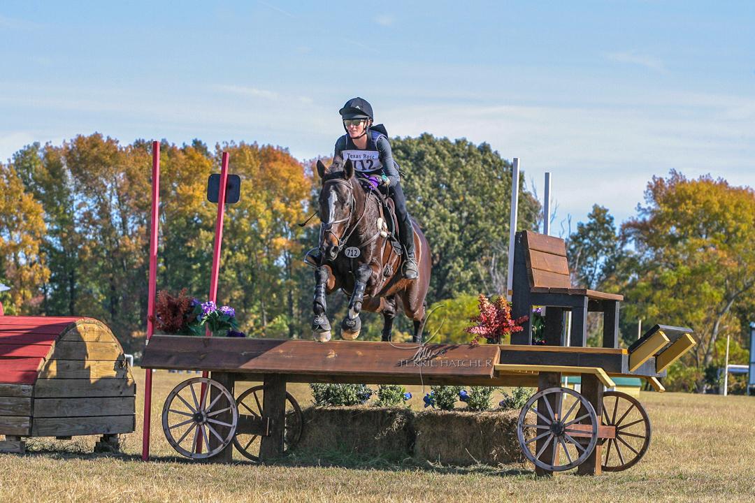 Sport Horse Nation Spotlight: Ten Tantalising TBs | Eventing Nation ...