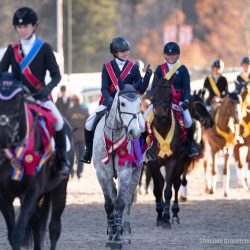 Eventing Nation | Eventing Nation - Three-Day Eventing News, Results ...