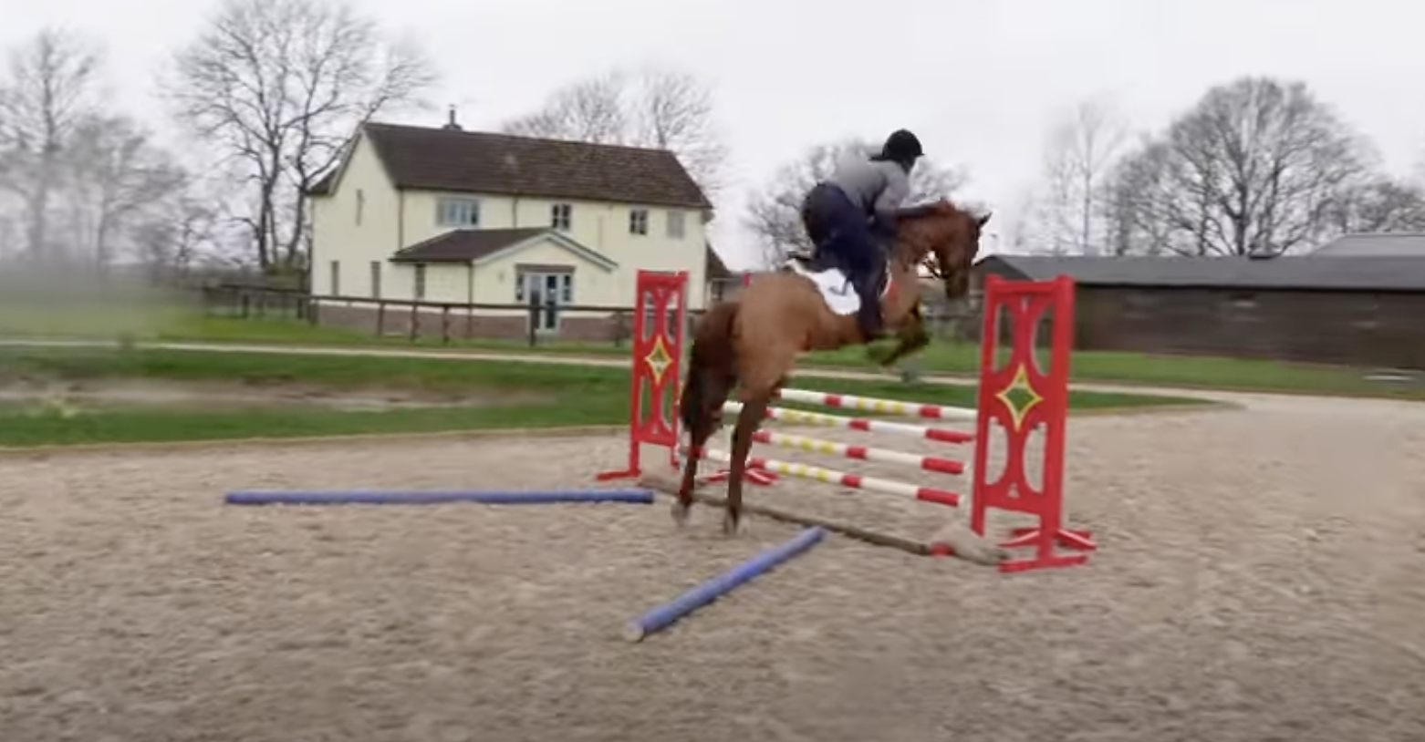 Wednesday Video from Kentucky Performance Products: Join the OTTB ...