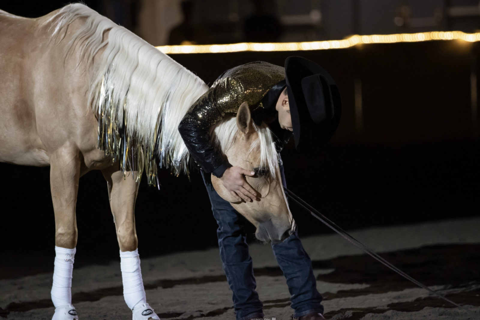 Emotional Control in the Face of Pressure: Giving Horses the Tools to ...