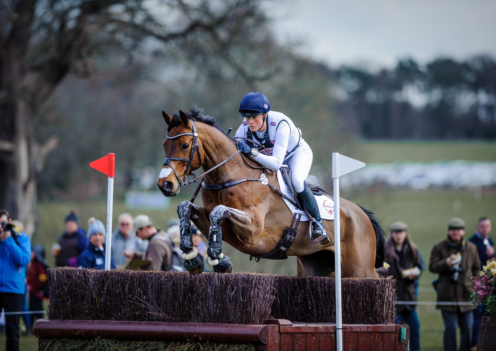 Classic Eventing Nation | Eventing Nation - Three-Day Eventing News ...