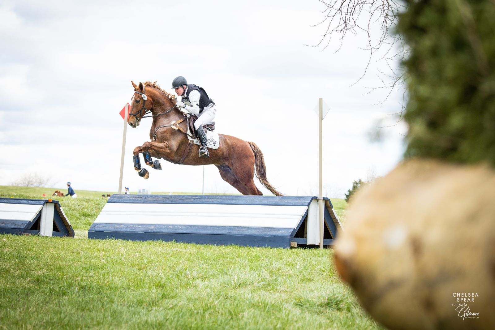Photo Feature: #GoEventing at Morven Park | Eventing Nation - Three-Day ...