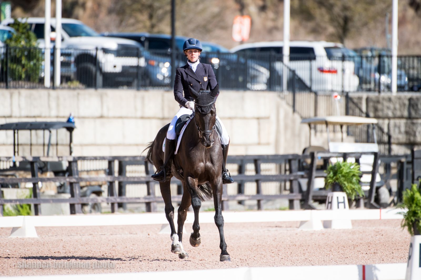 Liz Halliday-Sharp Dominates 3*-S and 4*-S Dressage at The Fork at TIEC ...