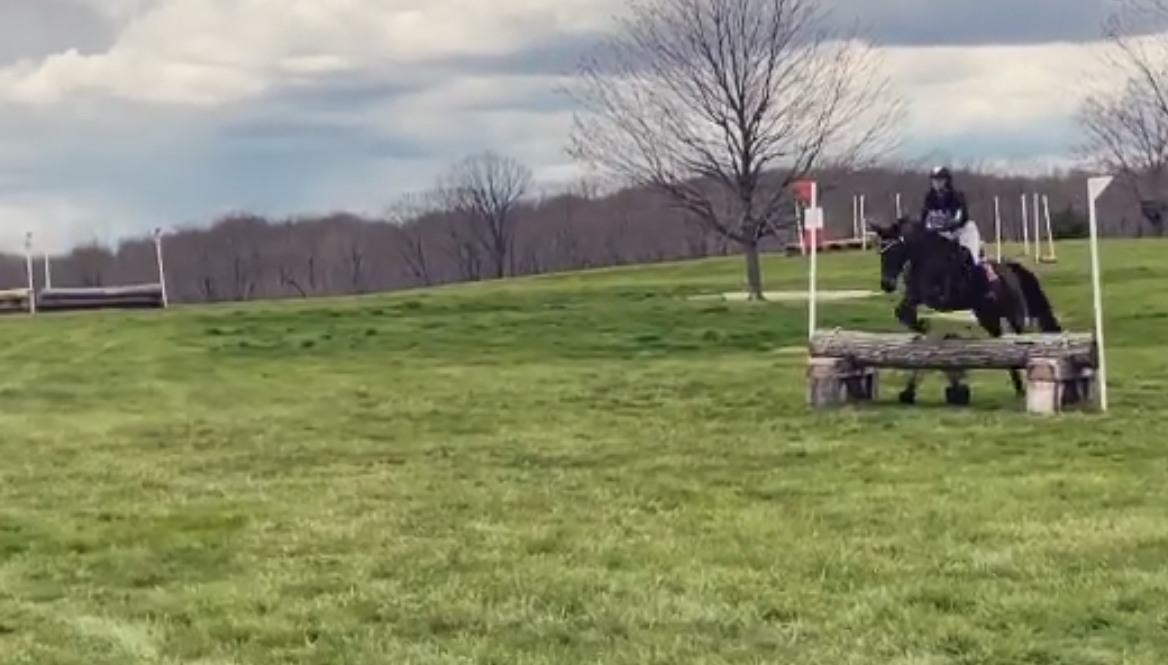 #GoEventing at Loch Moy Farm: Class with Professor Bendigo is Now in ...