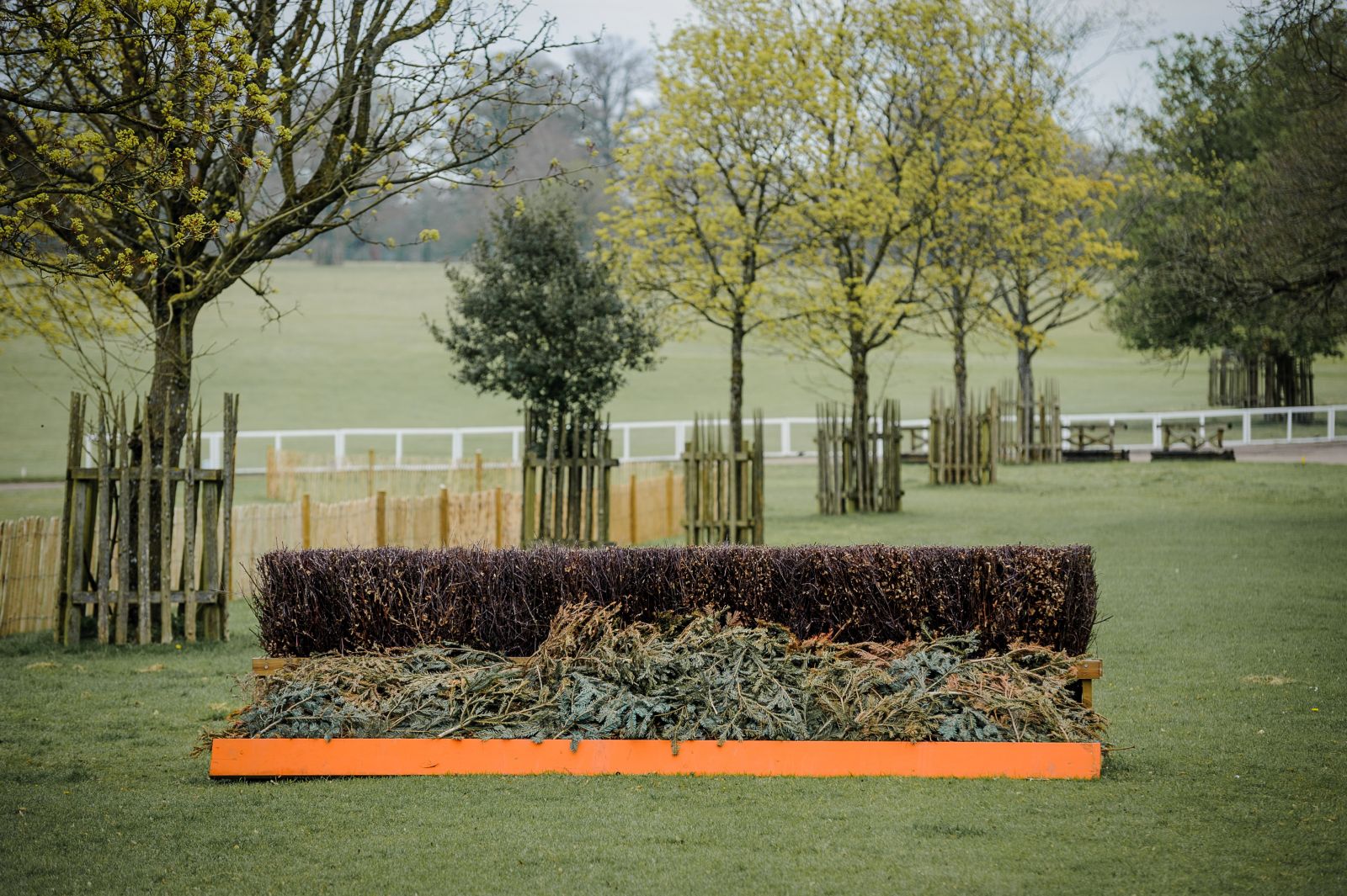 “This Is Your Olympics”: Take a Stroll Around Badminton’s Grassroots ...