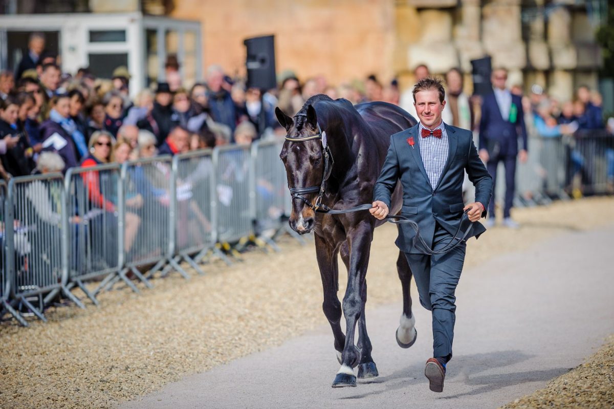 ‘Everything I Could Have Wished For’: Catching Up with David Doel after ...