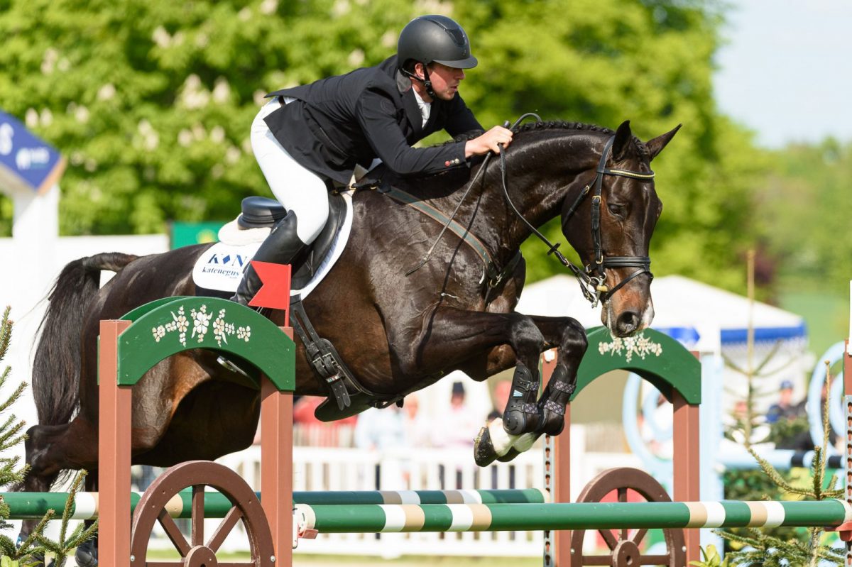 ‘Everything I Could Have Wished For’: Catching Up with David Doel after ...