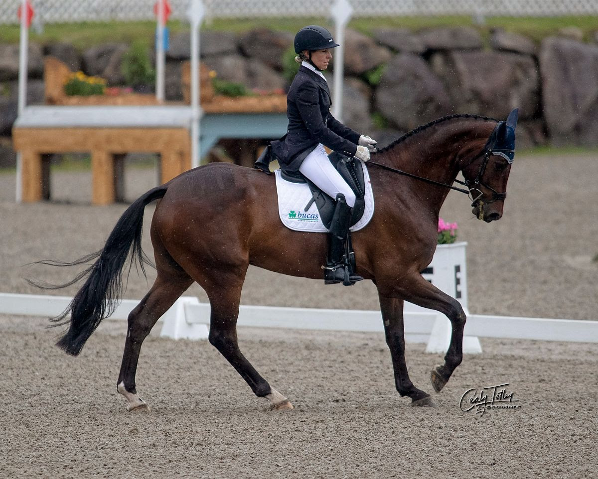 Liz Halliday-Sharp Leads the Way in MARS Bromont CCI4*-L | Eventing ...