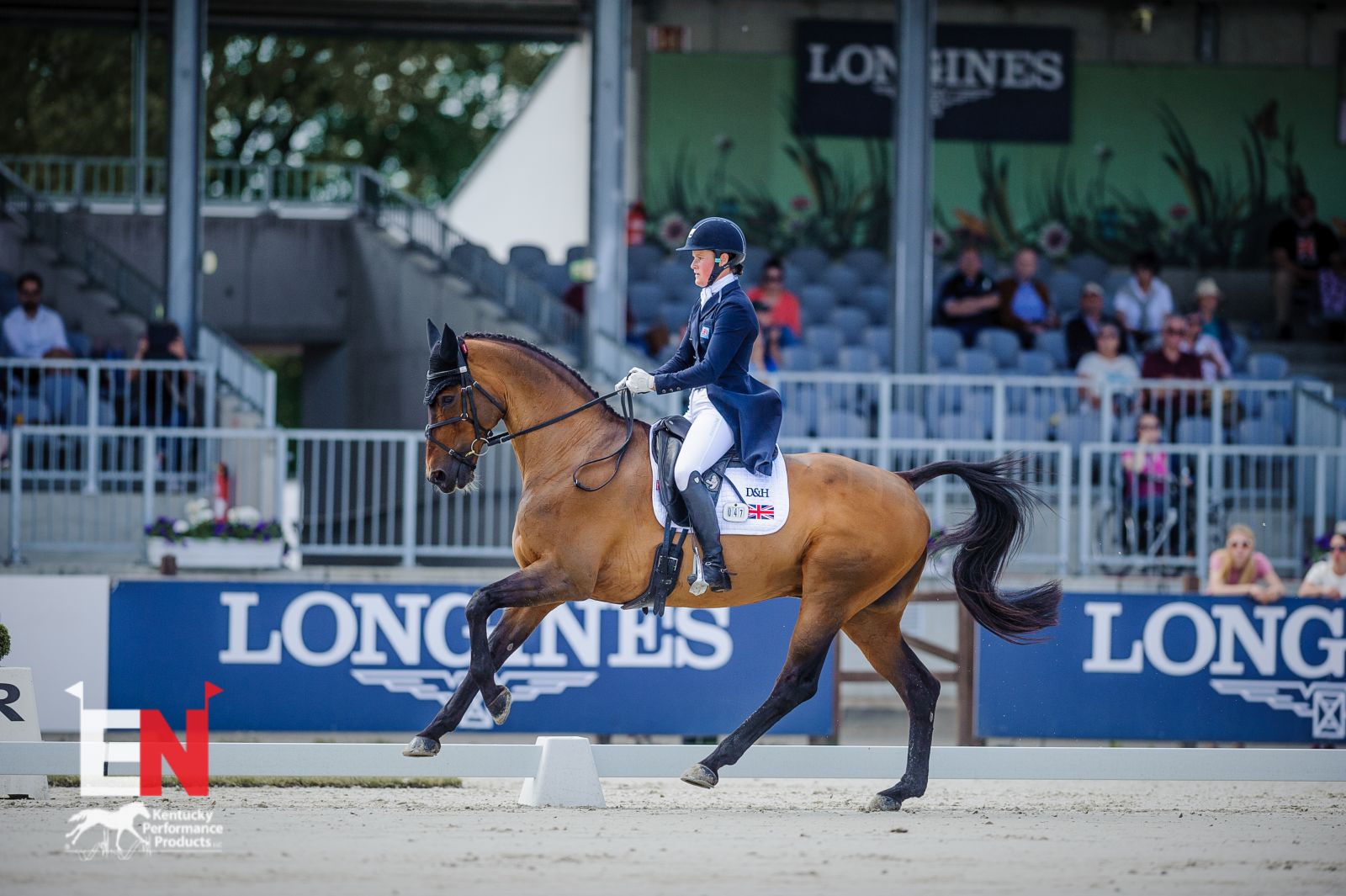 Luhmühlen Day One: Bubby Upton Takes the Five-Star Lead; Young German ...