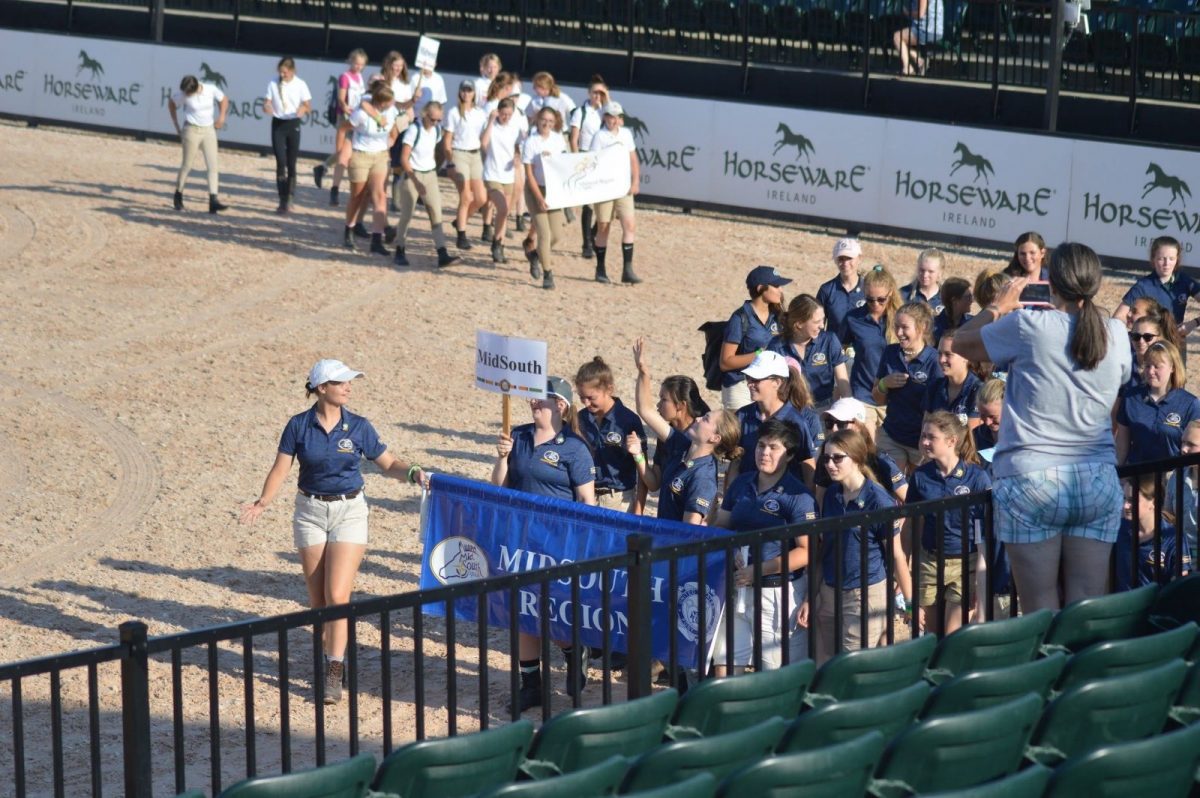 #supergroom Madelyn Gibbs Got Her Start with Tennessee Walking Horses ...